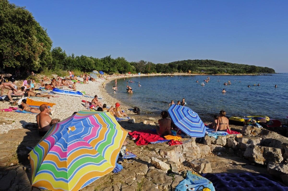 Kopalci ne bodo navdušeni: V Jadranu se širi nevarna in izrazito ...